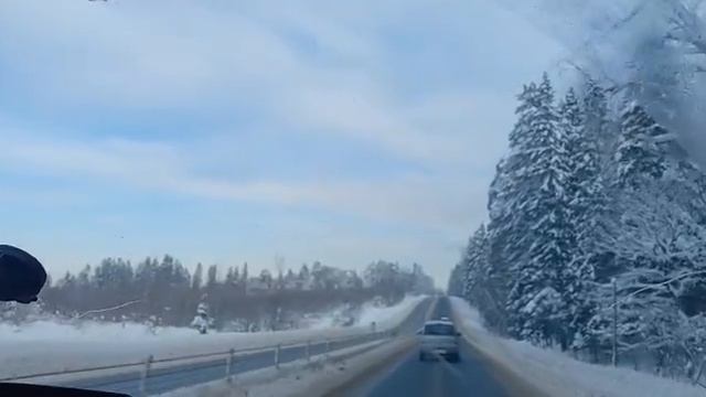 183557060_456239087.mp4