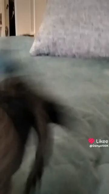 видео с Likee 7