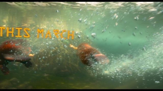 Прыгуны / Hoppers (2026) - Дублированный HD трейлер #1