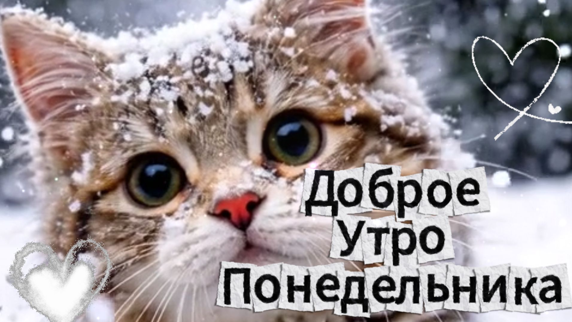 Доброе Утро Понедельника Зима Красивые Открытки!