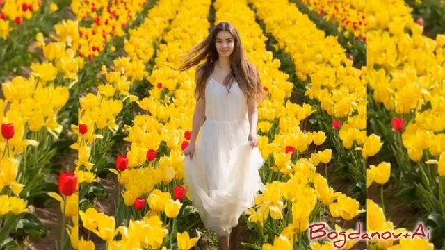 Твоя харизма