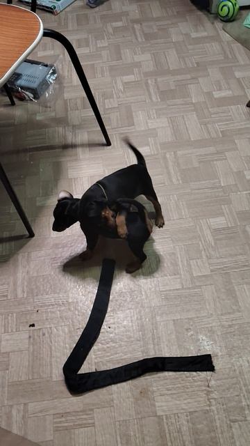 2026.01.19. Спартанцы.