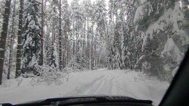 VID_20260110_153656.mp4