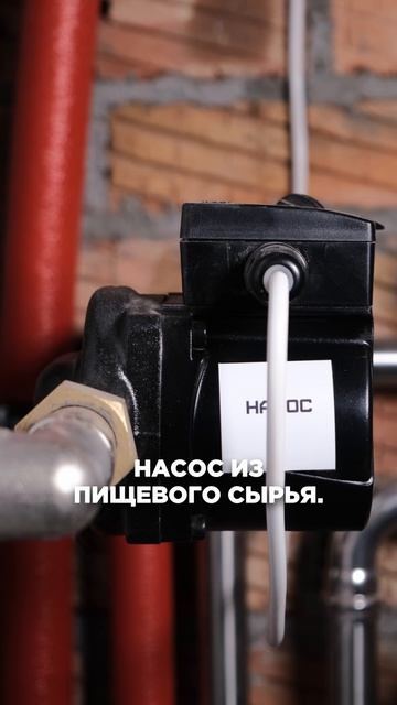 Насос пищевой и технический. Какой выбрать?