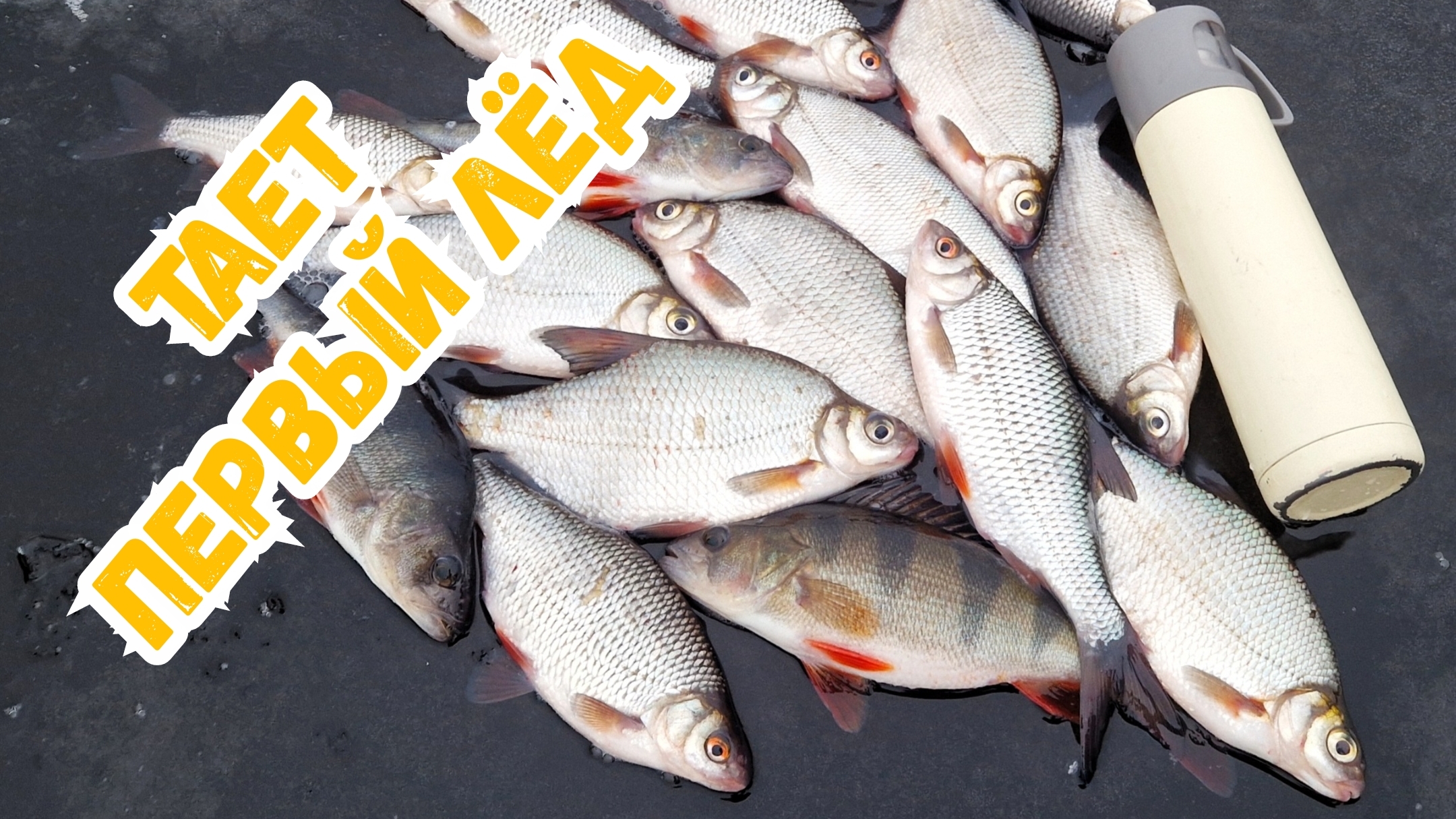 Безмотылка - тает первый лед