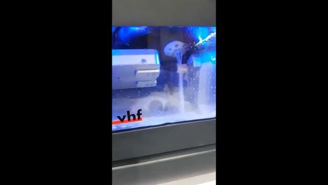 Изготовление стоматологической реставрации на фрезерном станке из VITABLOCS Tril