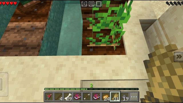 прохождение игры майнкрафт редко 2часть