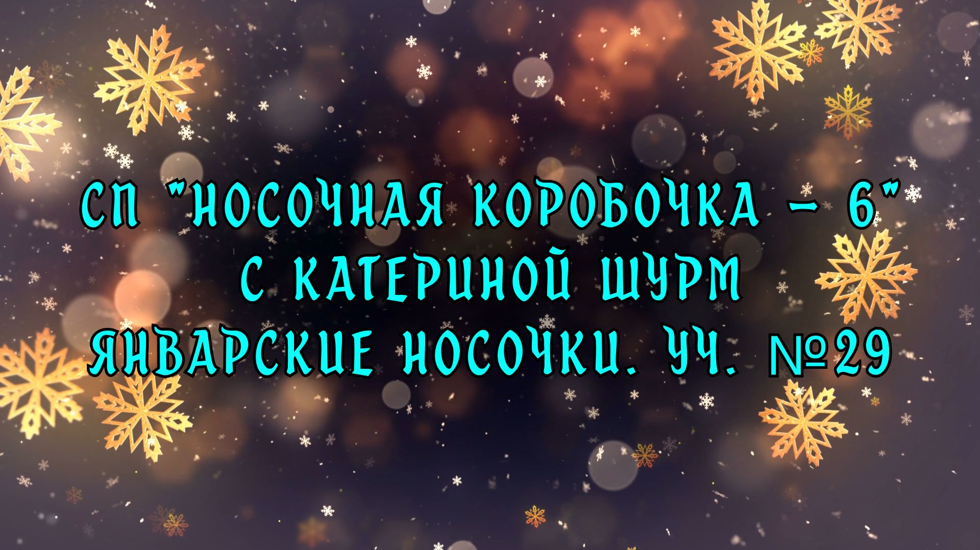 СП "Носочная коробочка - 6" с Катериной Шурм. Январские носочки. Участник №29
