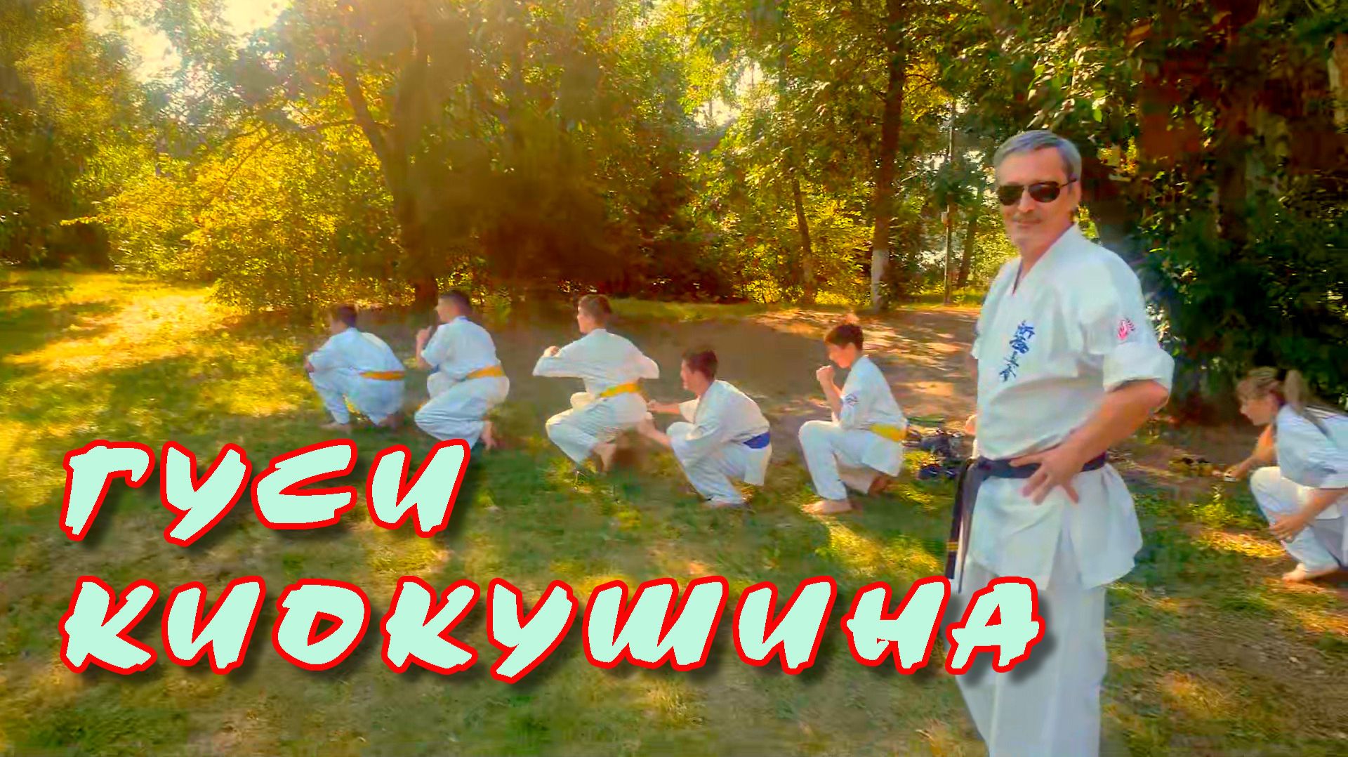 Гуси Киокушина