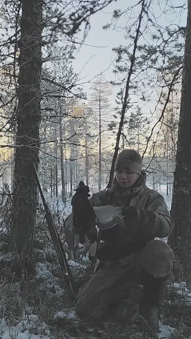 Охота на тетерева с биноклем.