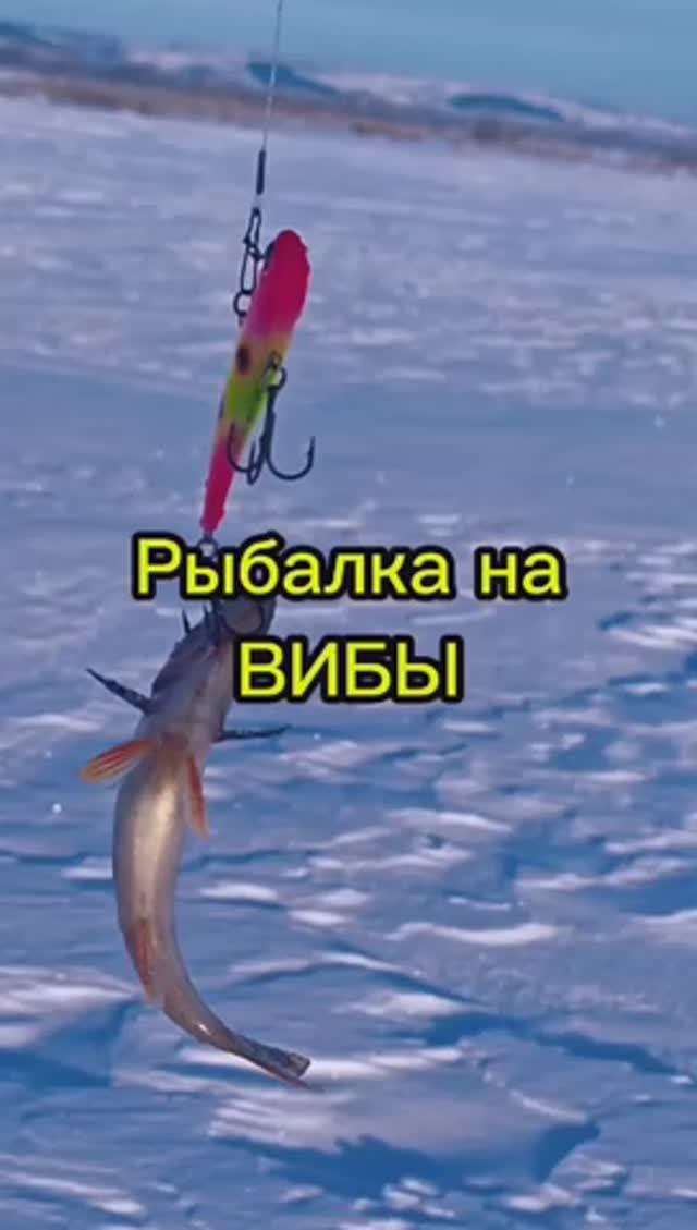 Первая моя рыбалка на ВИБЫ