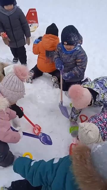 Эксперимент на прогулке «Как зимует трава под снегом?»