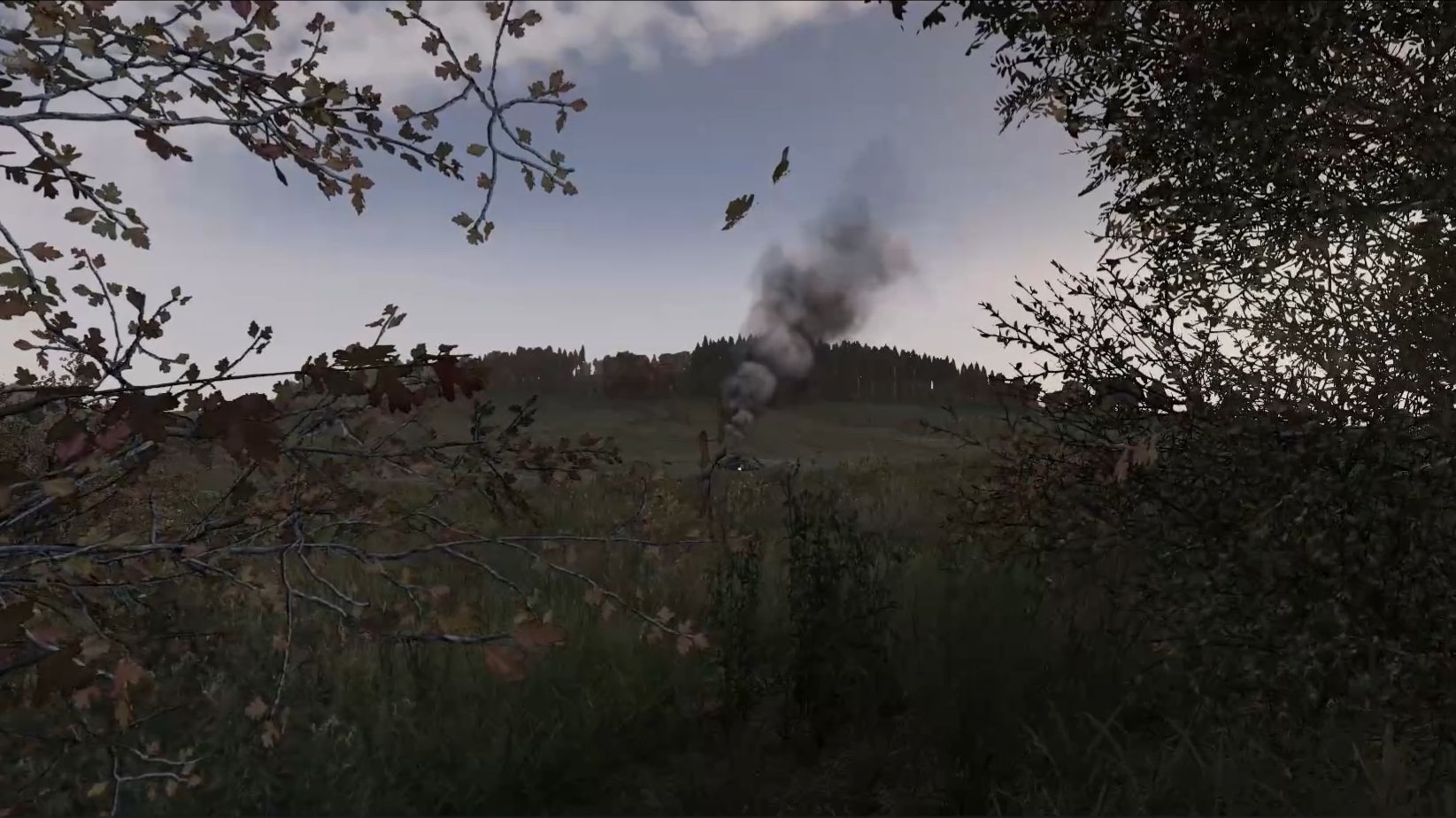 DayZ Упавший военный вертолет