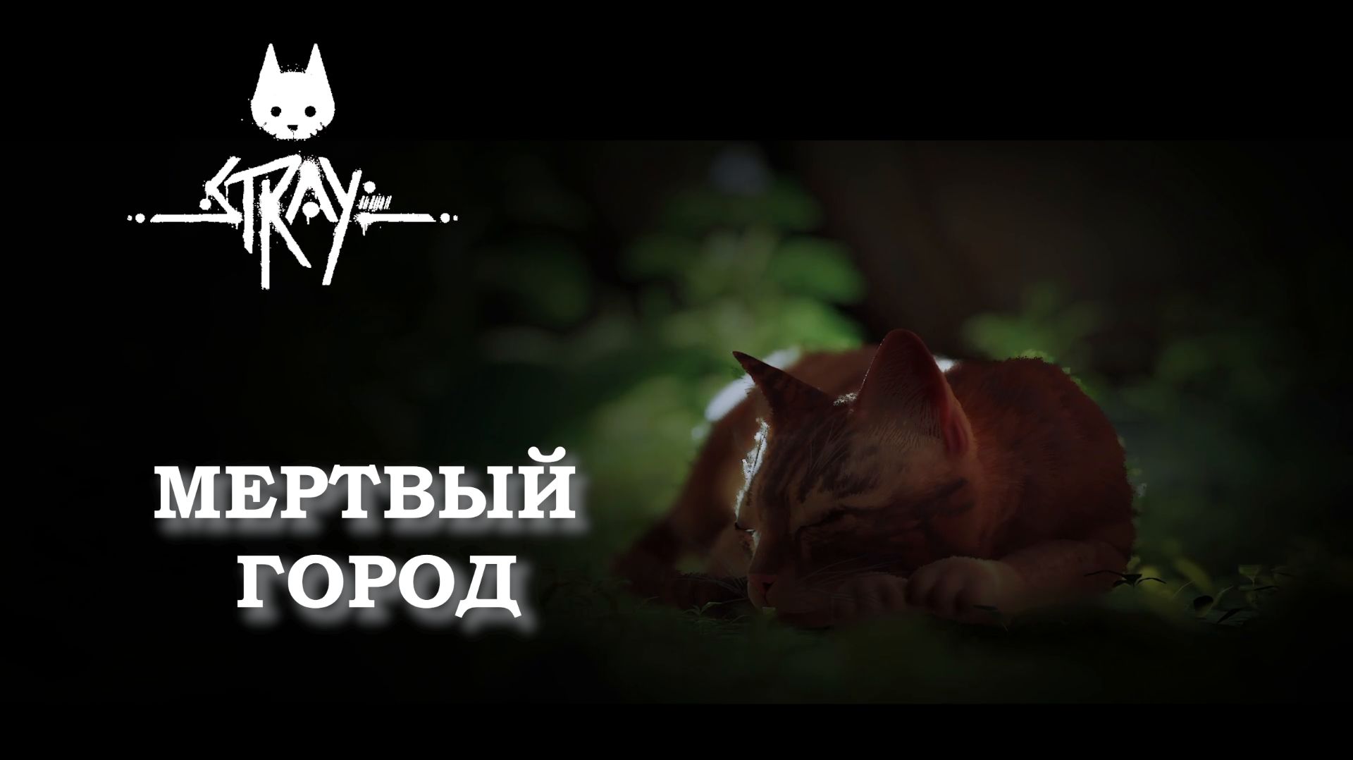 Stray - Мертвый город