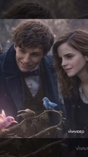 Маси-Миниатюра о Ньюте Саламандере и Гермиона Грейнджер и Гермиона