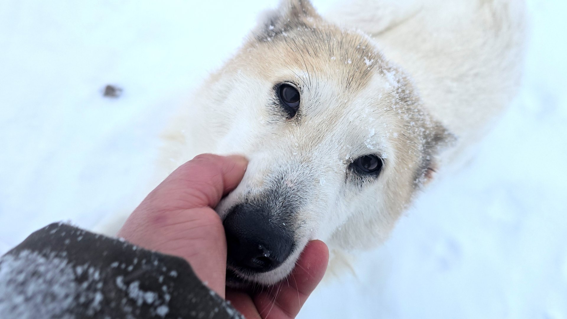 Сопротивление  снегу