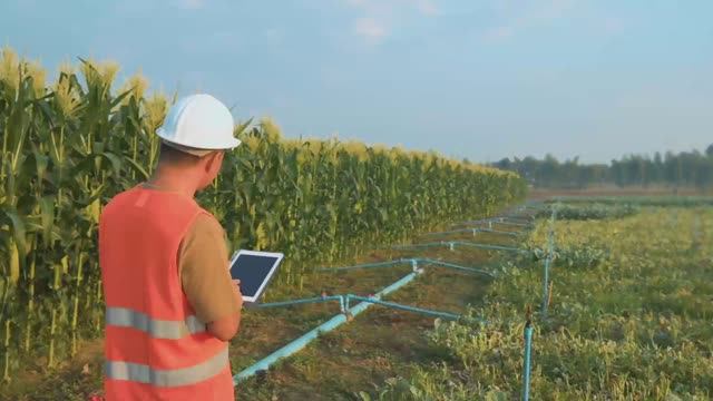 Поздравление с Днем сельского хозяйства от ПАО КБ «Центр-инвест»