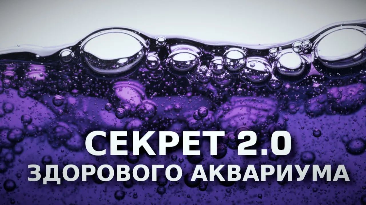 Секрет здорового аквариума v. 2.0