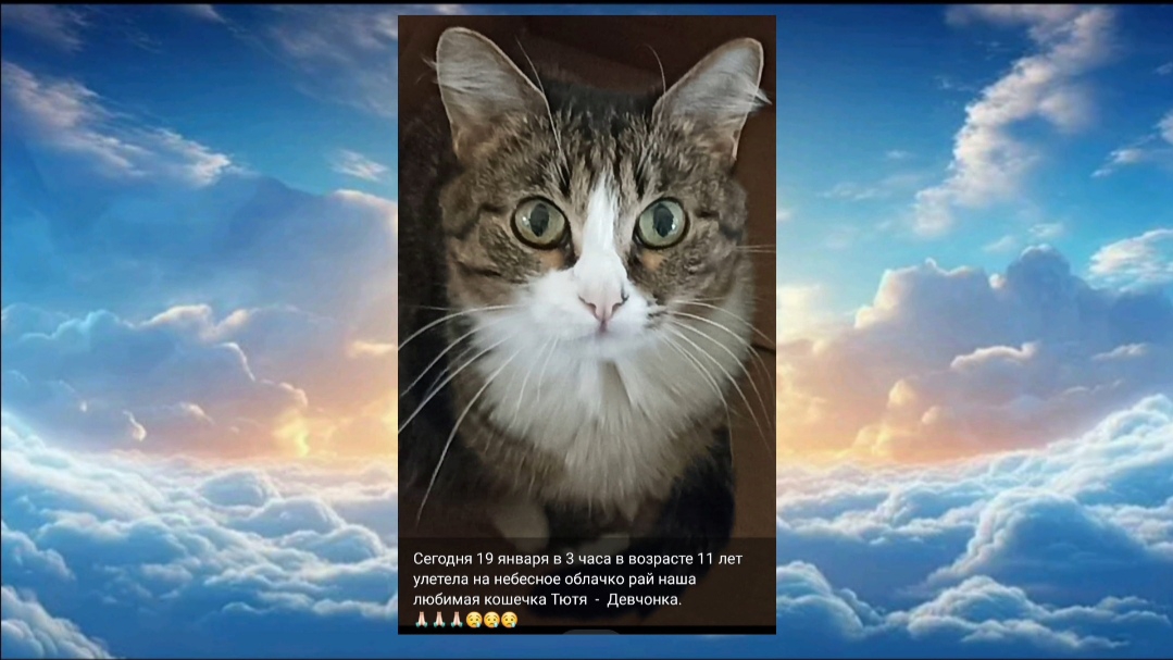 Прощай наше Солнышко! 🙏🏻😢🙏🏻😢🙏🏻😢