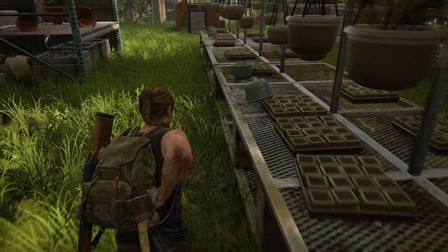 The Last of Us™ Part II Remastered #12