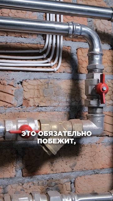 Лён с пастой