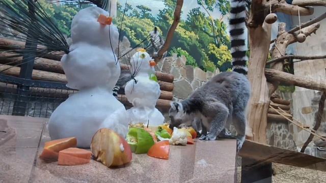 🥭 Показательные кормления  в зимнее время проходят необычно!