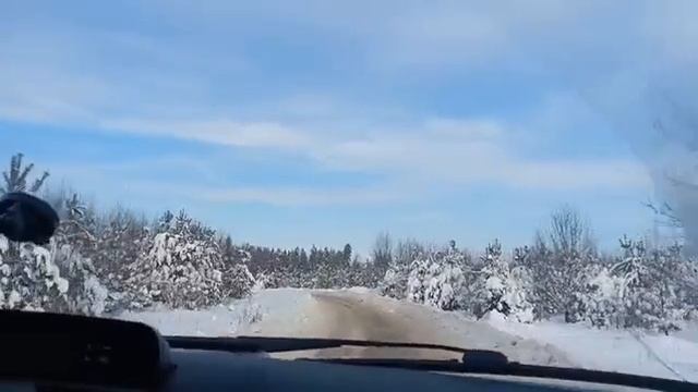 183557060_456239089.mp4