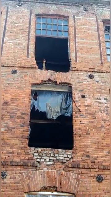 Вытолкнули из окна