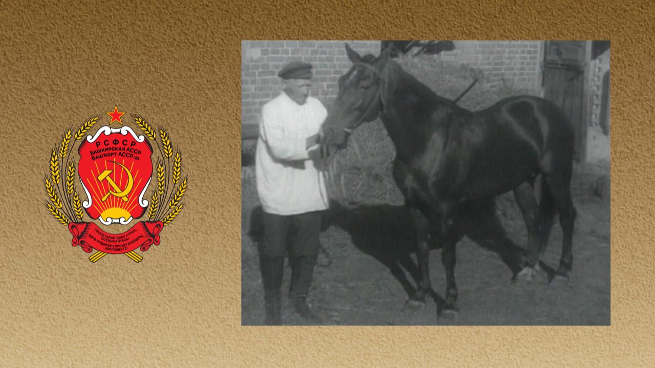 Советская Башкирия. Коневодство в БАССР (1930)