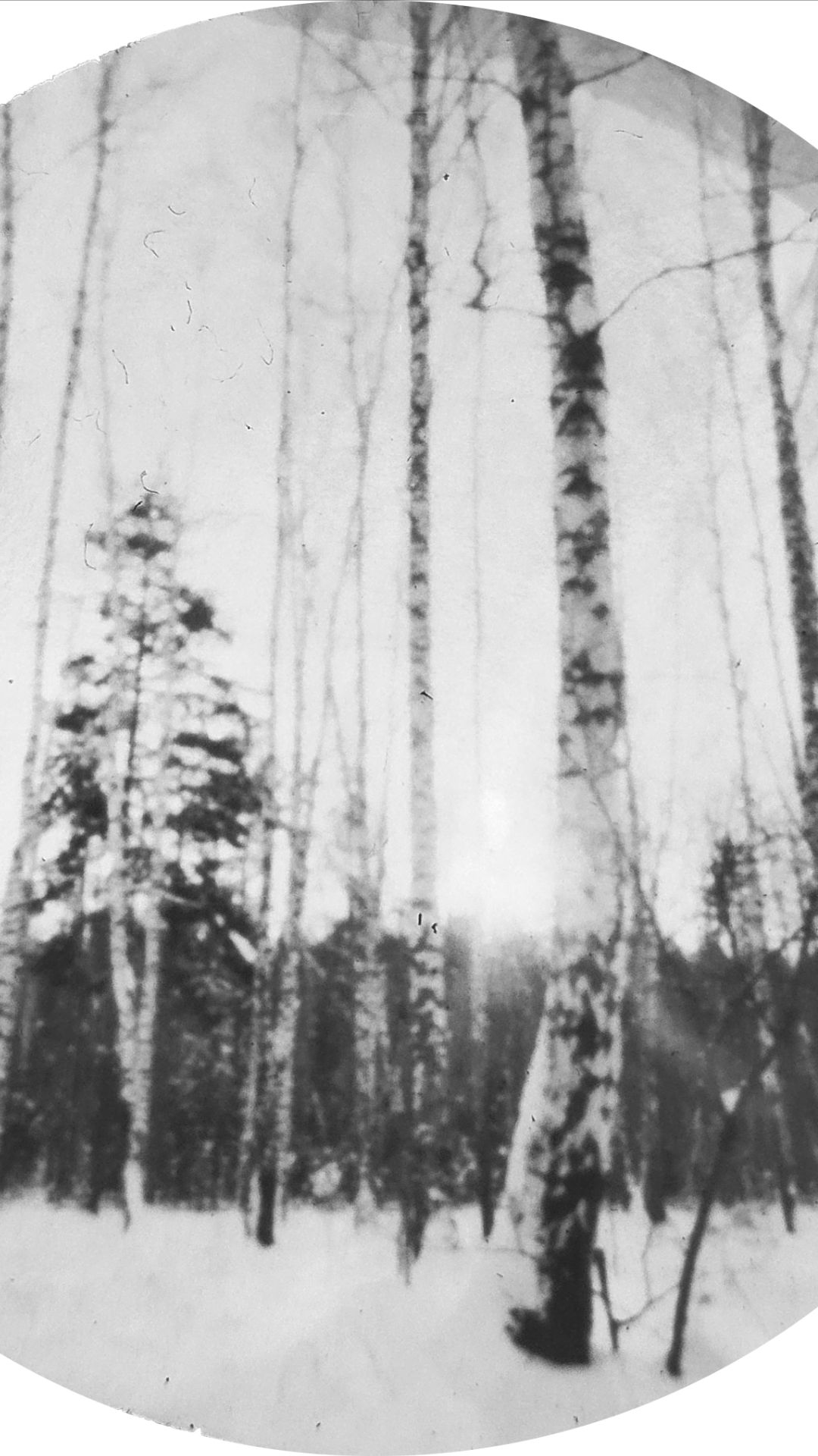 Пинхолы и фотки