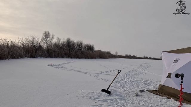 Новополеводино 2.01.26