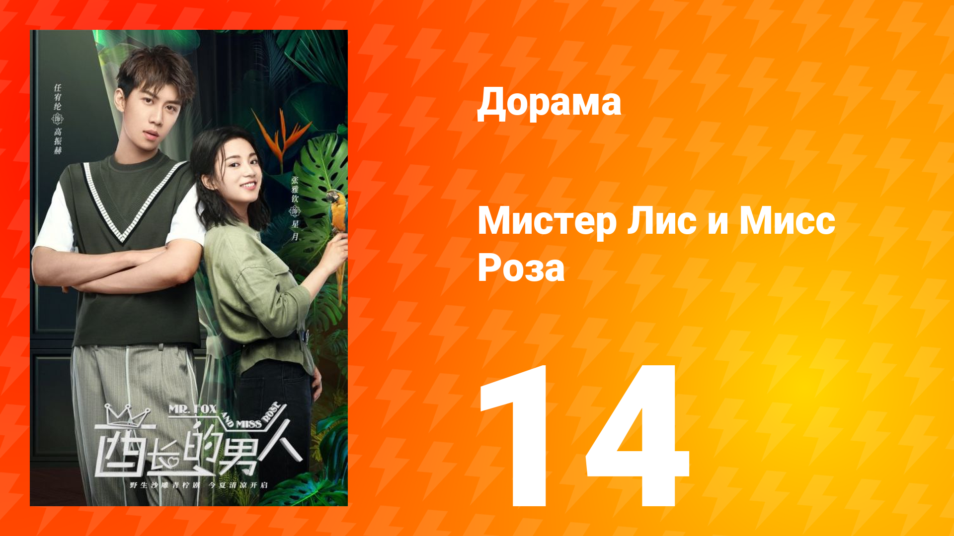 Мистер Лис и Мисс Роза 1 сезон 14 серия