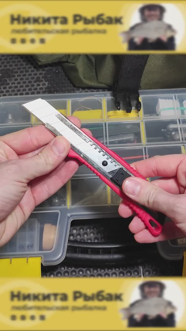 Готовь поводки для весны всегда заранее!!