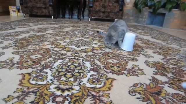 старое видео (2017)