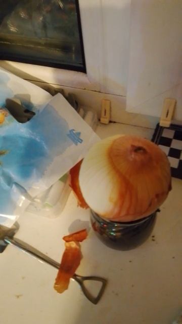 давай зелень вырасти