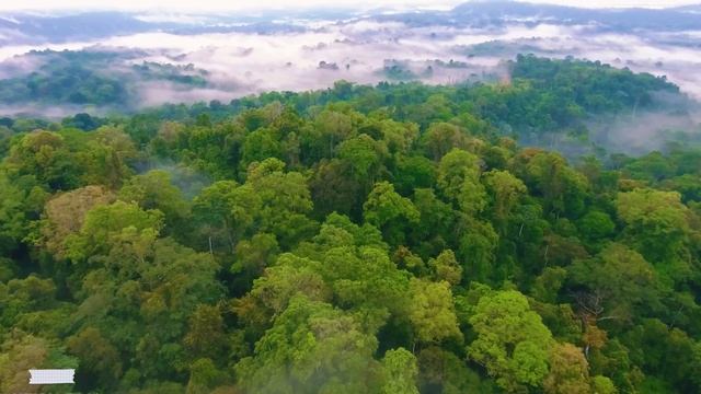 Начало правила (из рукописной книжечки матушки игумении Арсении)