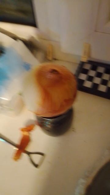 вырациваю лук