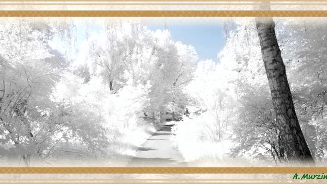 DBlack - Pina Colada