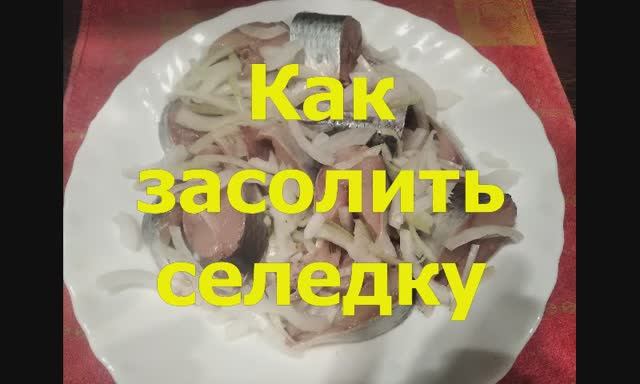 Как засолить селёдку со специями в рассоле правильно классическим способом в домашних условиях