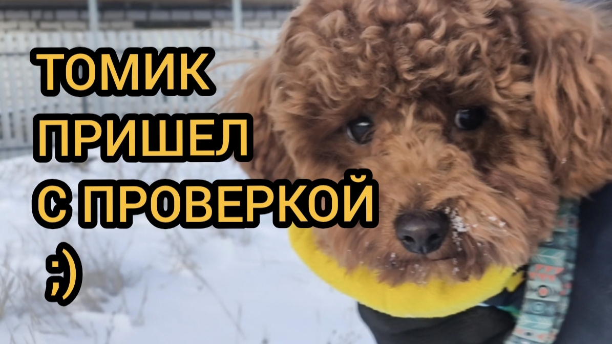 Дошла очередь до подоконников 17-18.01.2026