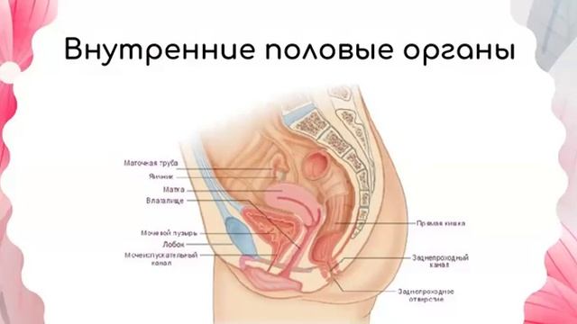 1 Супружество _и_замысел_Творца___Тема_1_Антонина_Мунтяну — копия