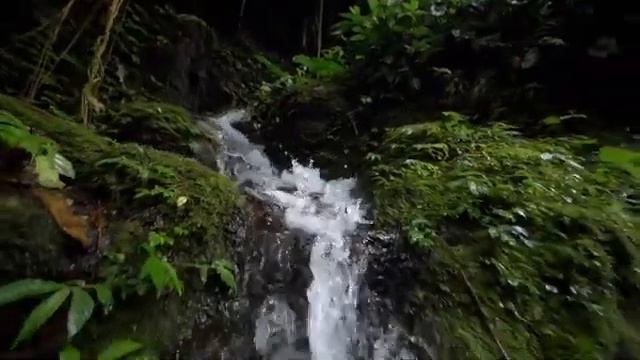 Дерек Принс "Где мы в Библейских пророчествах" часть 3  Как во дни Ноя и Лота.