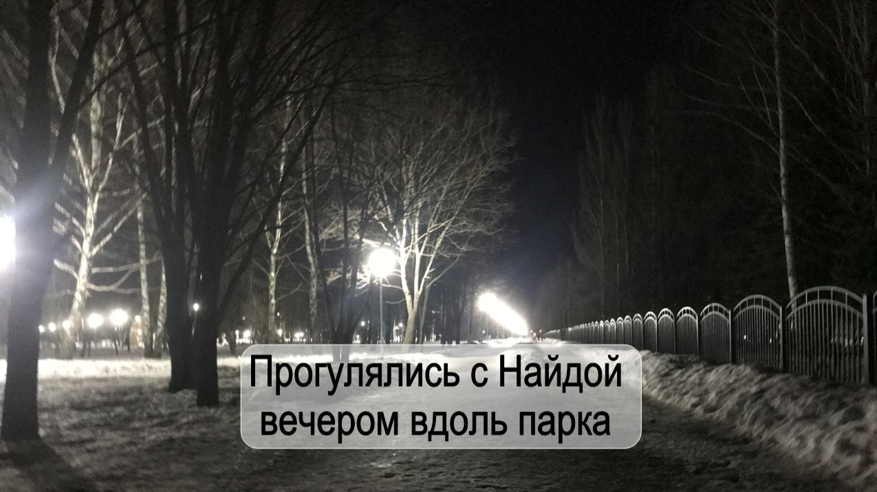 Погуляли с Найдой вечером вдоль парка / Архив от 21.03.2022