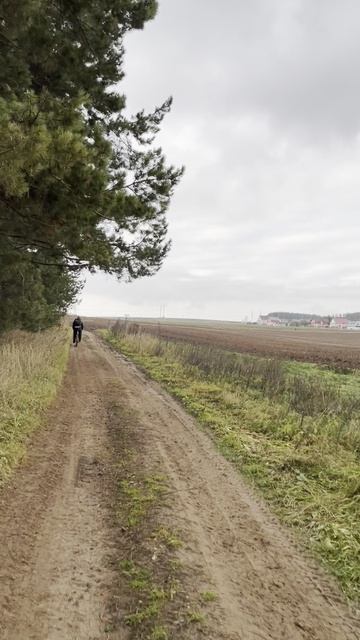 между Подлесным и Якшуром