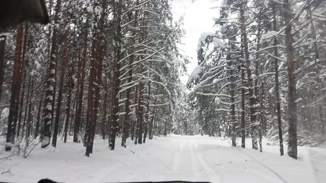 VID_20260110_203958_477.mp4