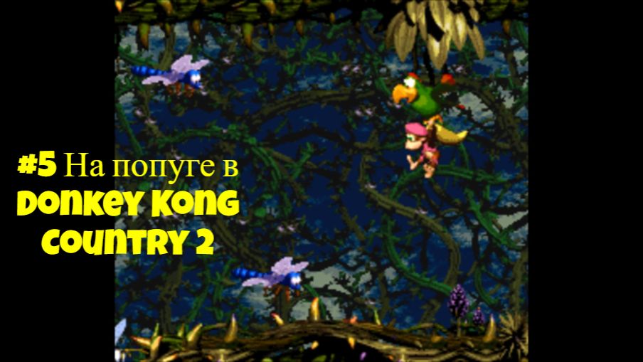 #5 На попуге в Donkey Kong Country 2