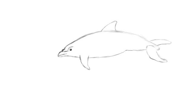 №1 (Дельфин)