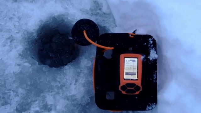 О рыбалке на Химкинском водохранилище. 20.01.2025