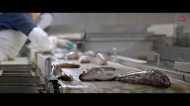 Имиджевый видеоролик АО "КРСО", серия 6
