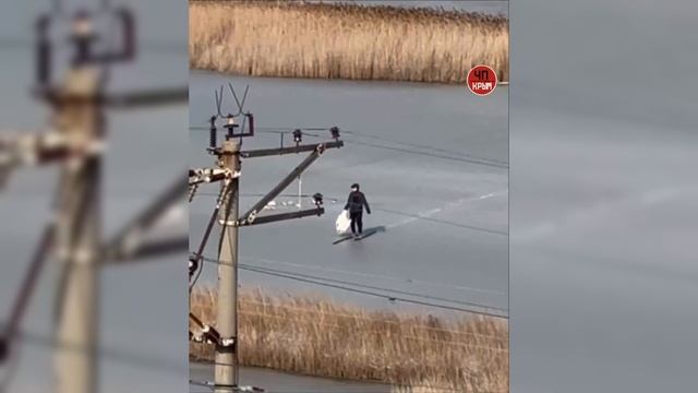 Лебеди погибают на озерах Крыма? видео ЧП / Крым|Telegram